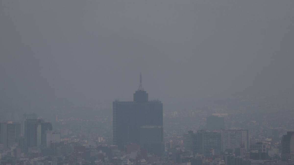 Les chlorofluorocarbures continuent de pulluler | PME