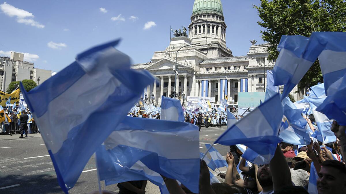 Javier Milei: l'ultralibéral investi président d'Argentine | PME