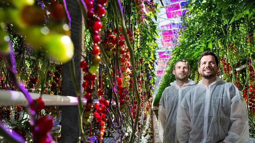 Voltiris, la start-up qui veut se faire sa place au soleil | PME